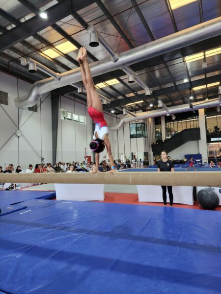 GYMNASTICS FOR KIDS - Fly High Fitness